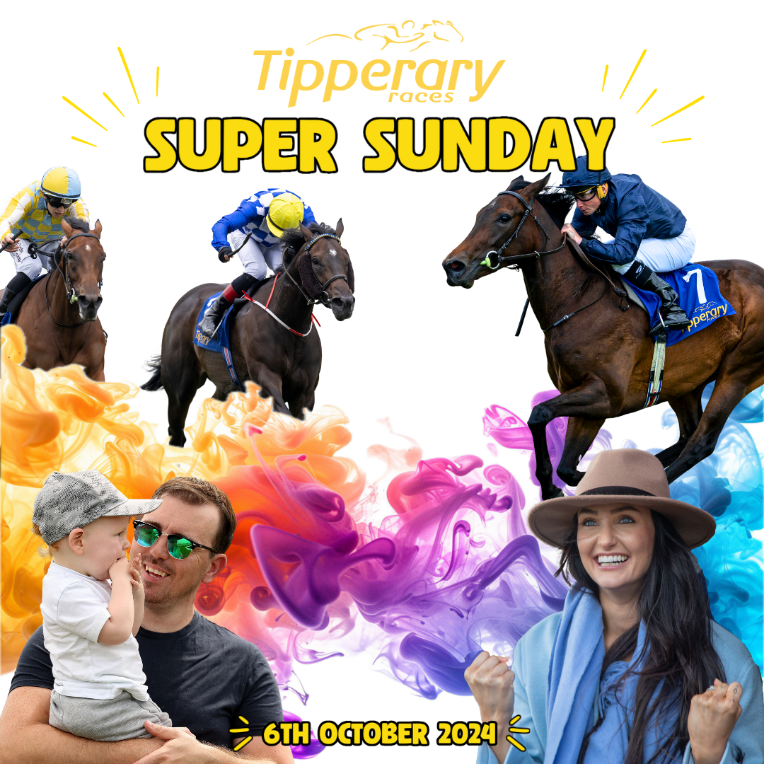 Upcoming Meetings & Racing Schedule at Tipperary Racecourse | Tipperary ...